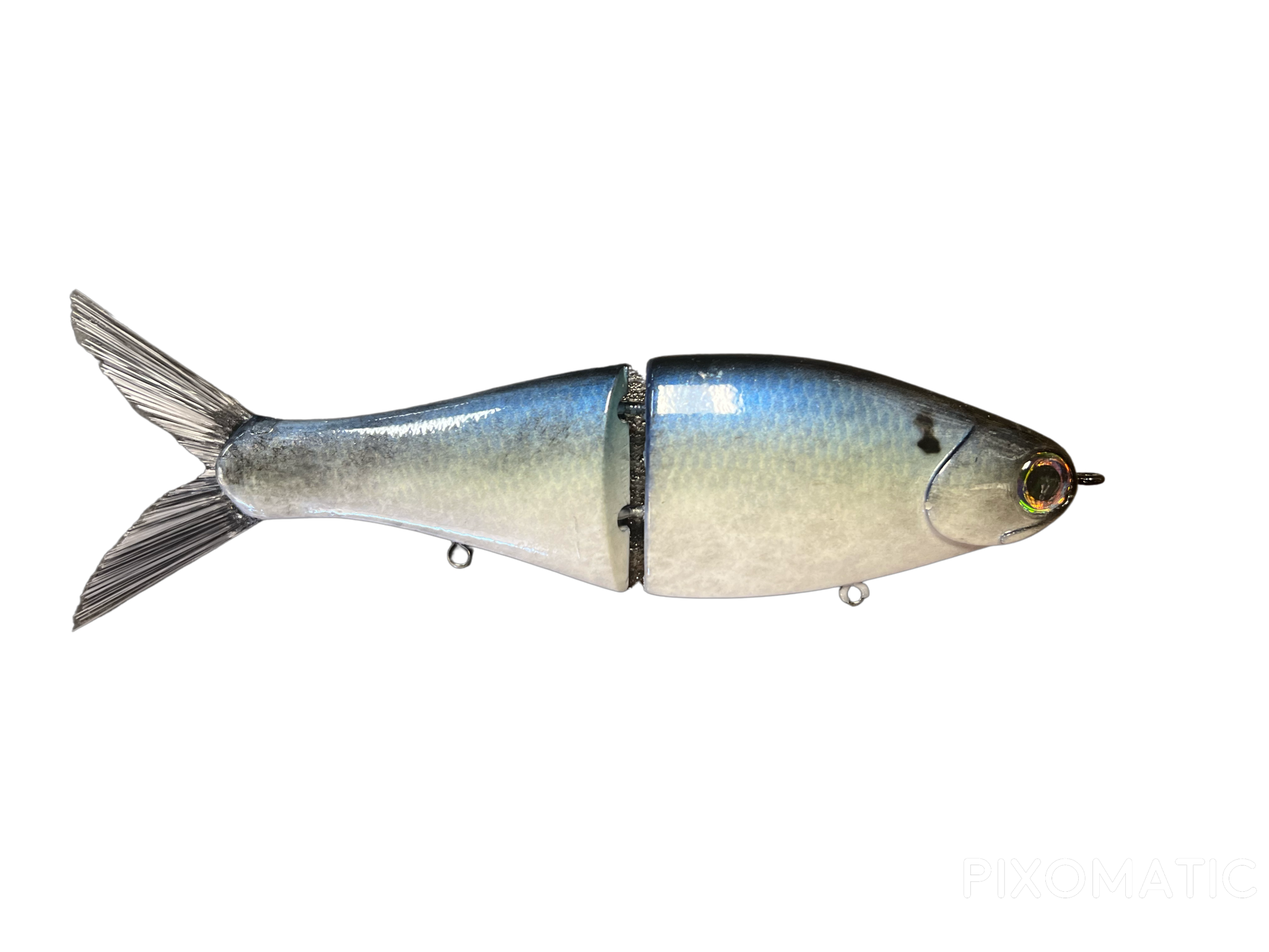 Paperweight (Fish Everything) - Modern Outdoor Tackle