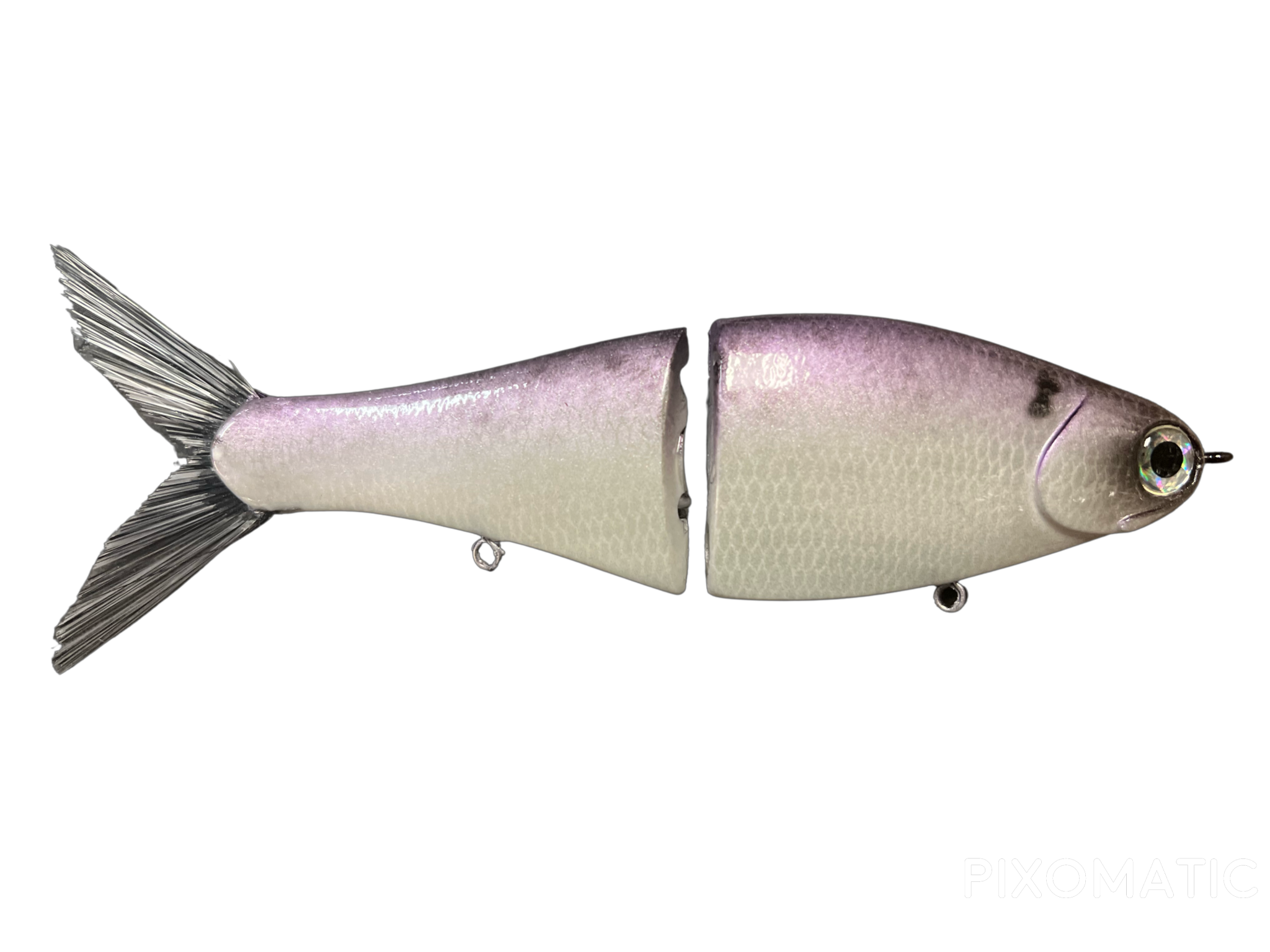 Paperweight (Fish Everything) - Modern Outdoor Tackle