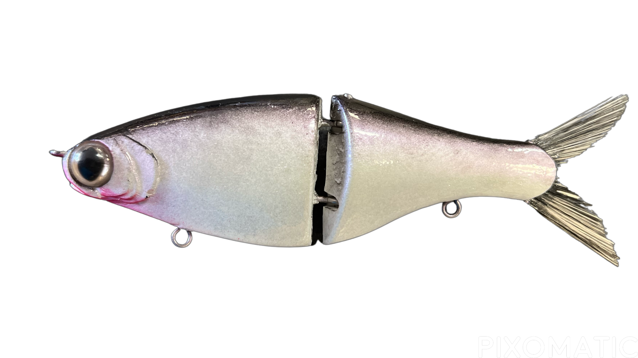 Paperweight (Fish Everything) - Modern Outdoor Tackle