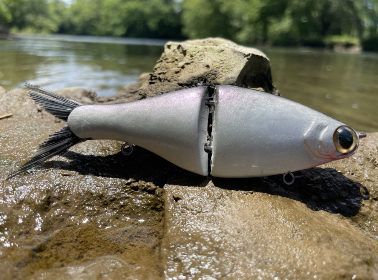 Paperweight (Fish Everything) - Modern Outdoor Tackle