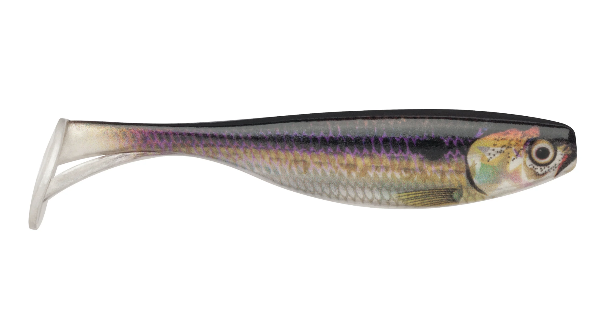 Largo Shad - Modern Outdoor Tackle