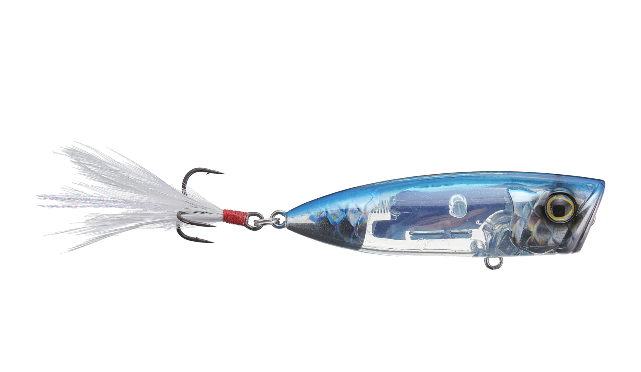 World Pop 69F Popper - Modern Outdoor Tackle