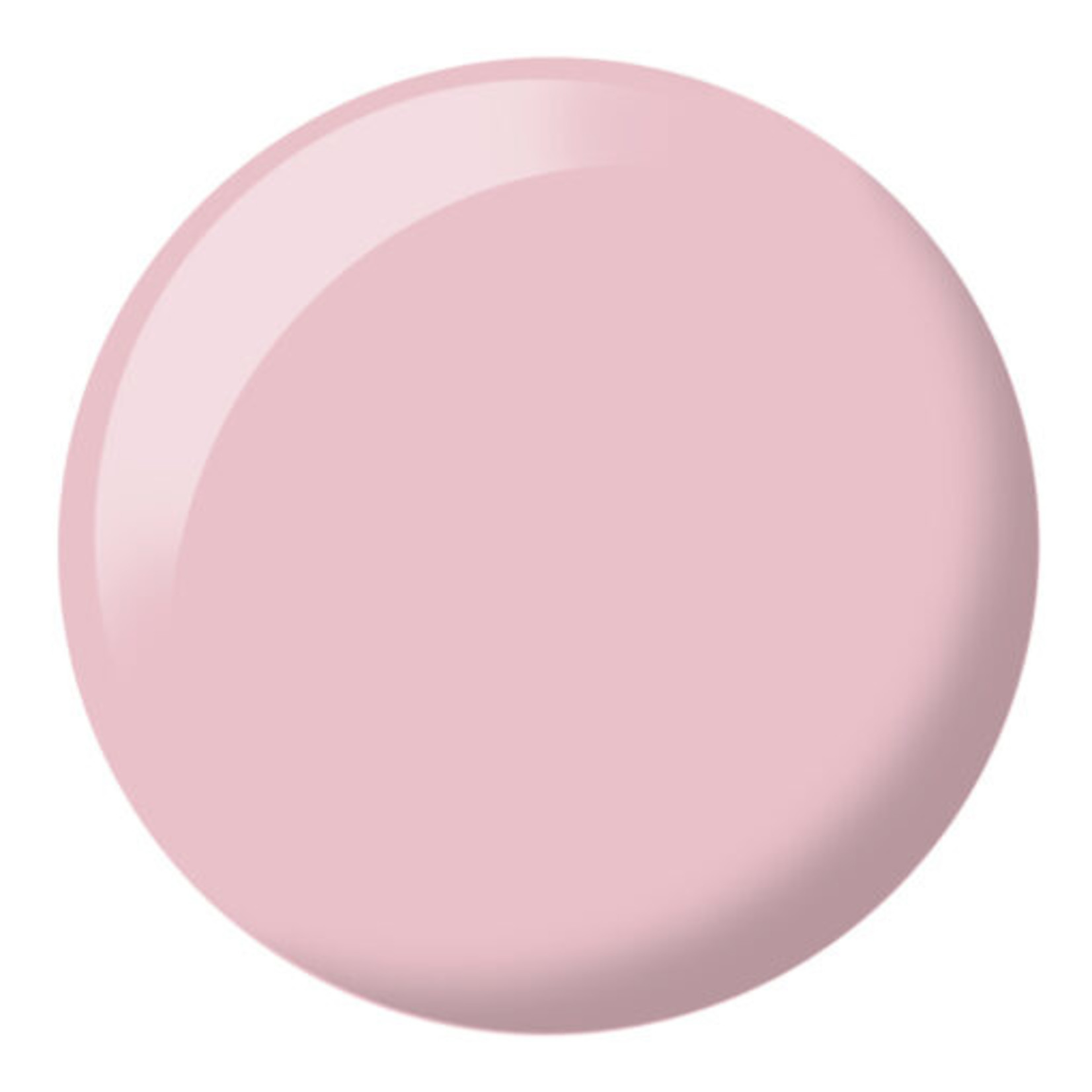 DND - 451 - Rock N Rose - DUO Polish - The Studio - Nail and Beauty Supply