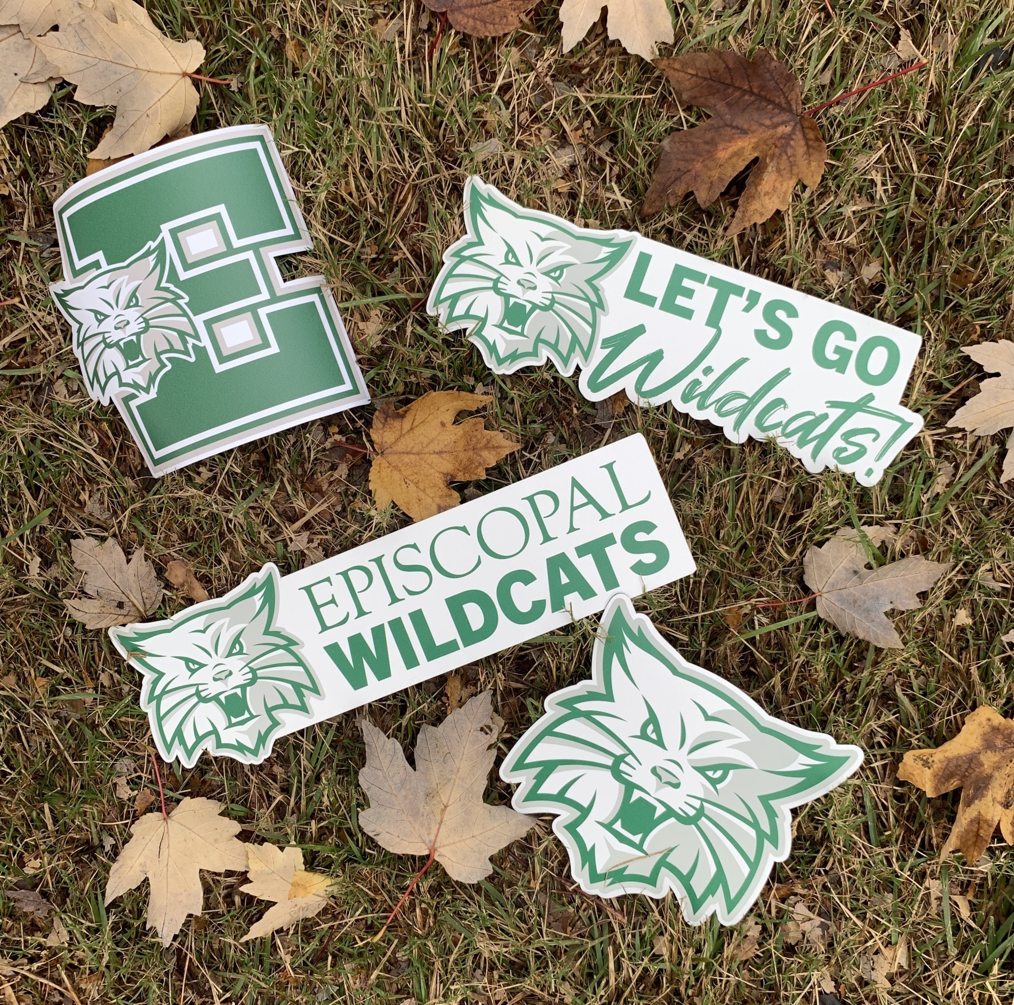 Velocity Graphics Wildcats Car Magnet - 5" tall - Wildcat Warehouse at ...