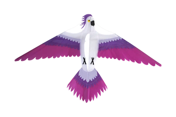 HAAK PARROT 1.6 x .95M SINGLE LINE KITE - www.acercmodels.com