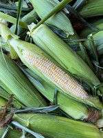 Homepage - Campbell's Orchards - Campbells Orchards