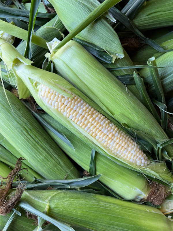 Homepage - Campbell's Orchards - Campbells Orchards