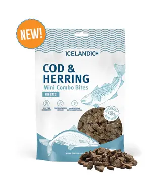 London’s premier pet store: Everything for your dog. including dog beds ...