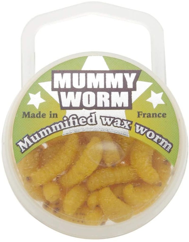EUROTACKLE MUMMY WORM MUMMIFIED WAX WORM