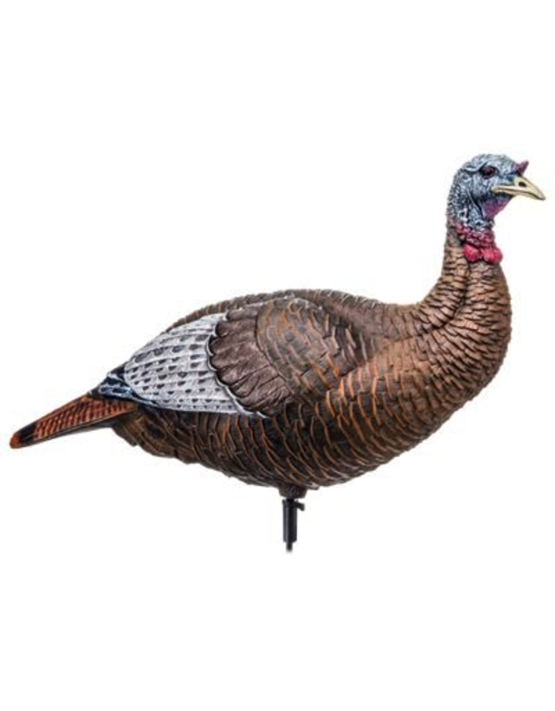 FLEXTONE UPRIGHT THUNDER CHICK