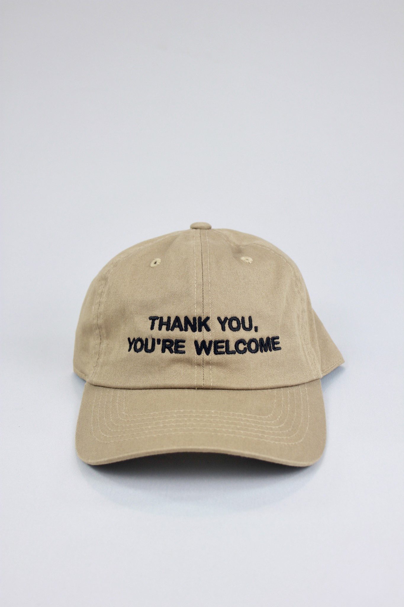 Intentionally Blank - Slogan Dad Cap - Thank You, You're Welcome ...