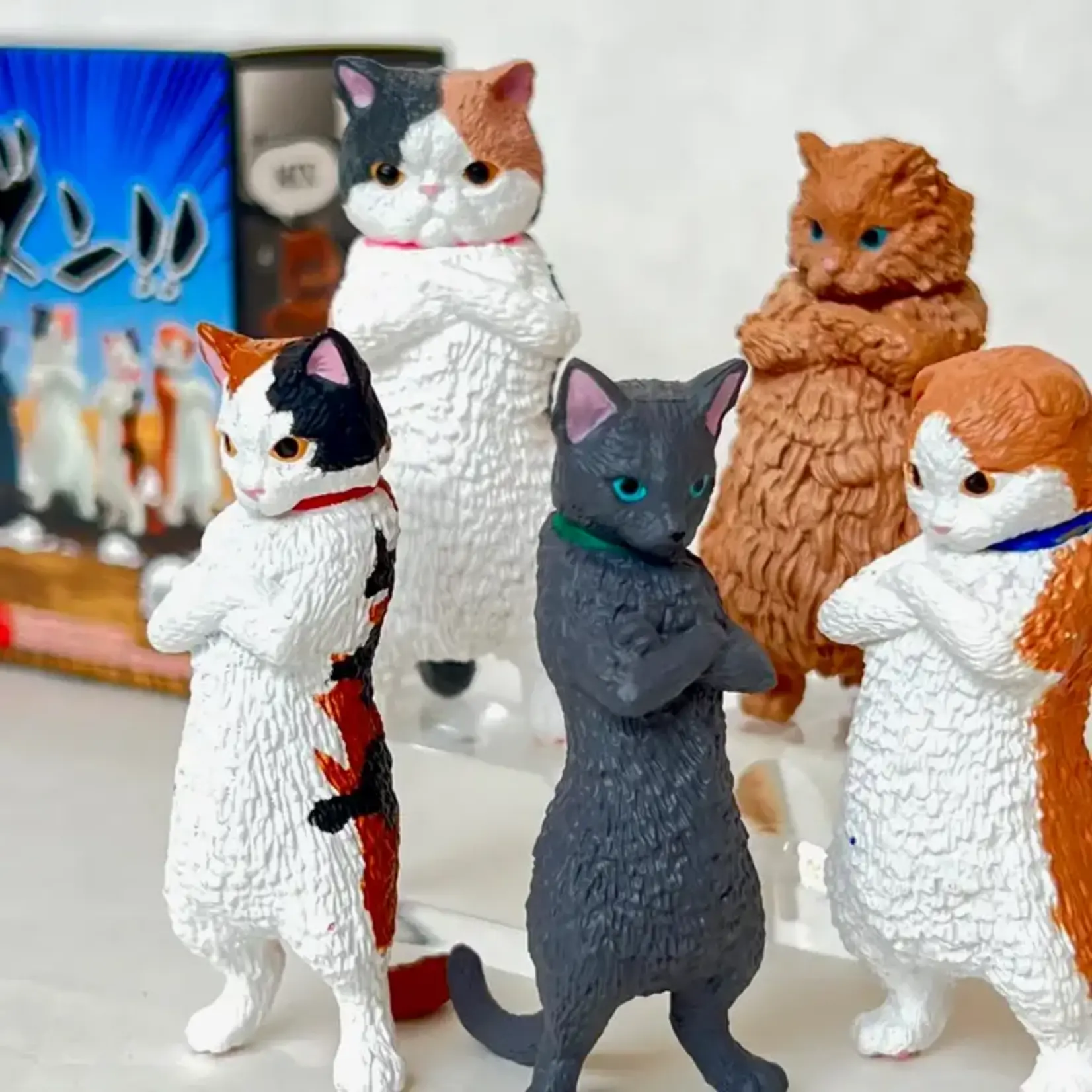Toy - Blind Box - Attitude Cat Figurine - Fairgrounds St. Pete