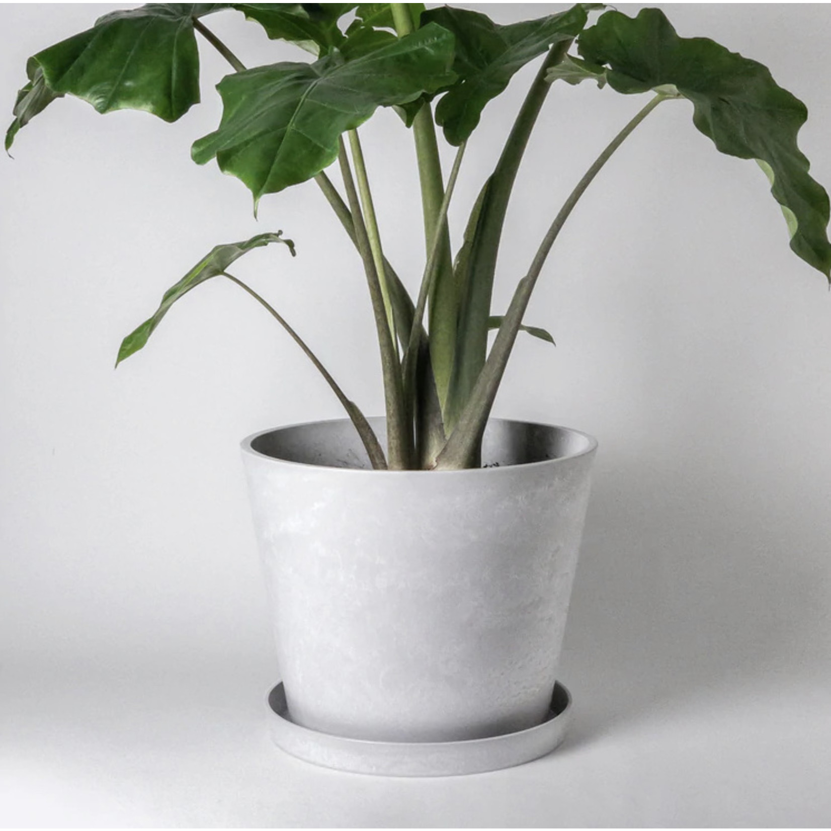 15" Signature Stone Angled Planter - Home, Garden, and Fashion ...