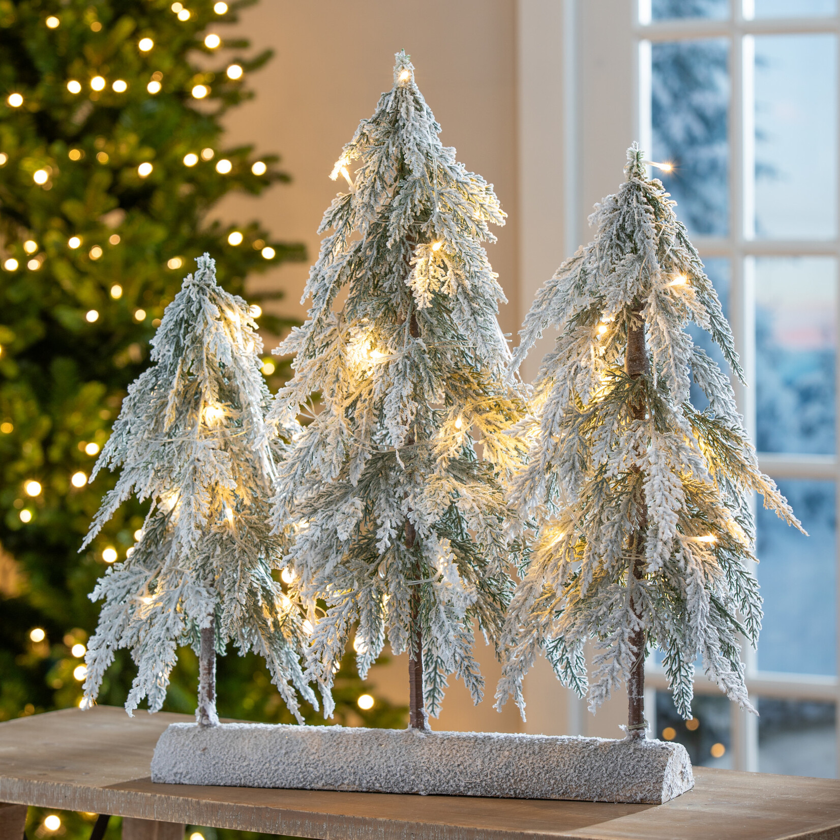 Evergreen Plants Lighting Lighting In Exclusive Garden Design