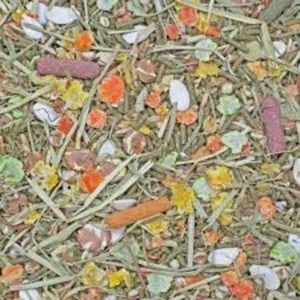 Small Animal Department - Fins and Feathers Inc.