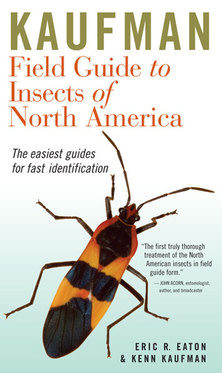Field Guide to Insects of North America - Cheekwood