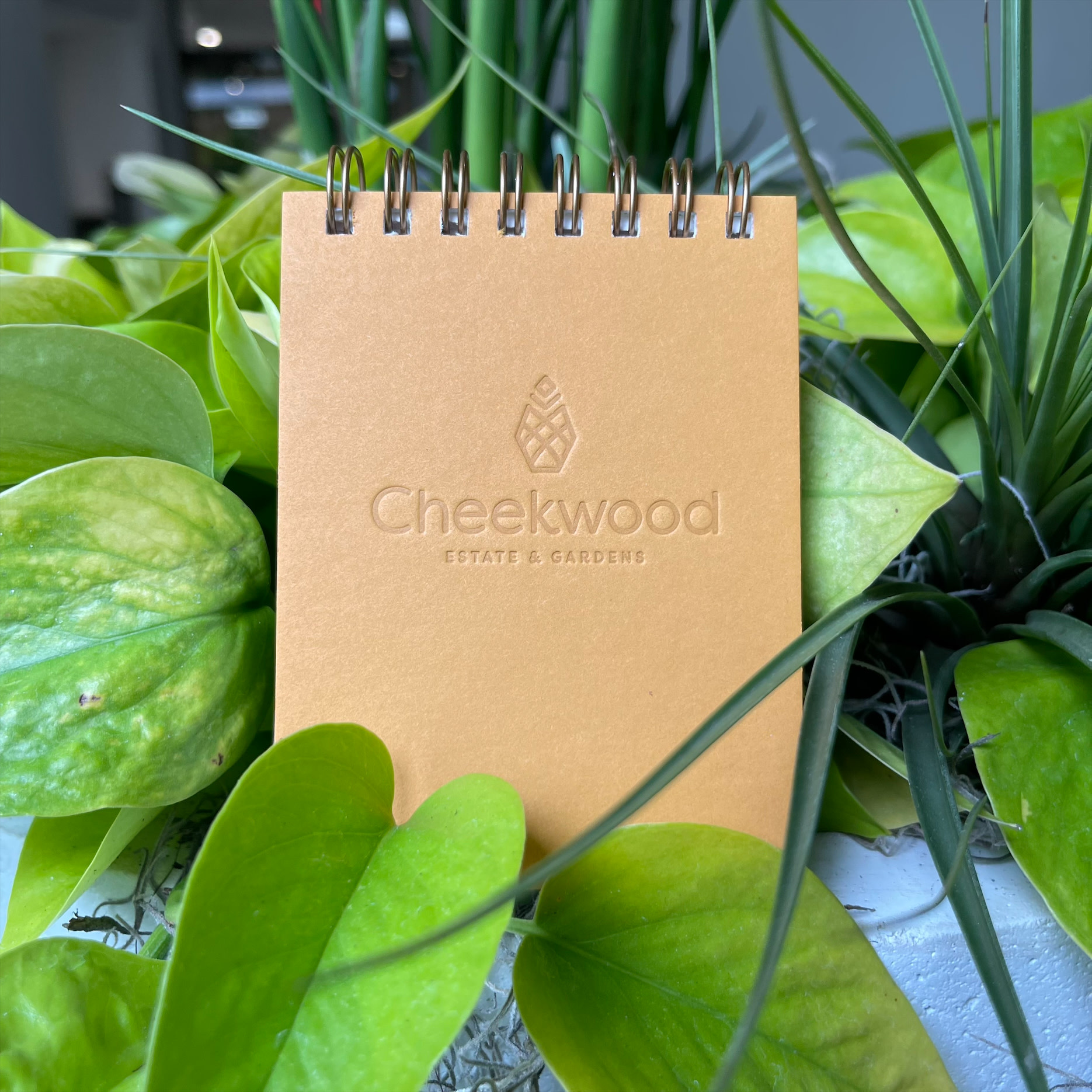 Cheekwood Mini Spiral - Cheekwood