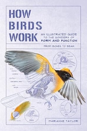 How Birds Work - Cheekwood