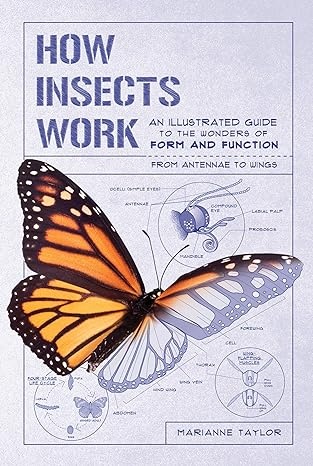 How Insects Work - Cheekwood