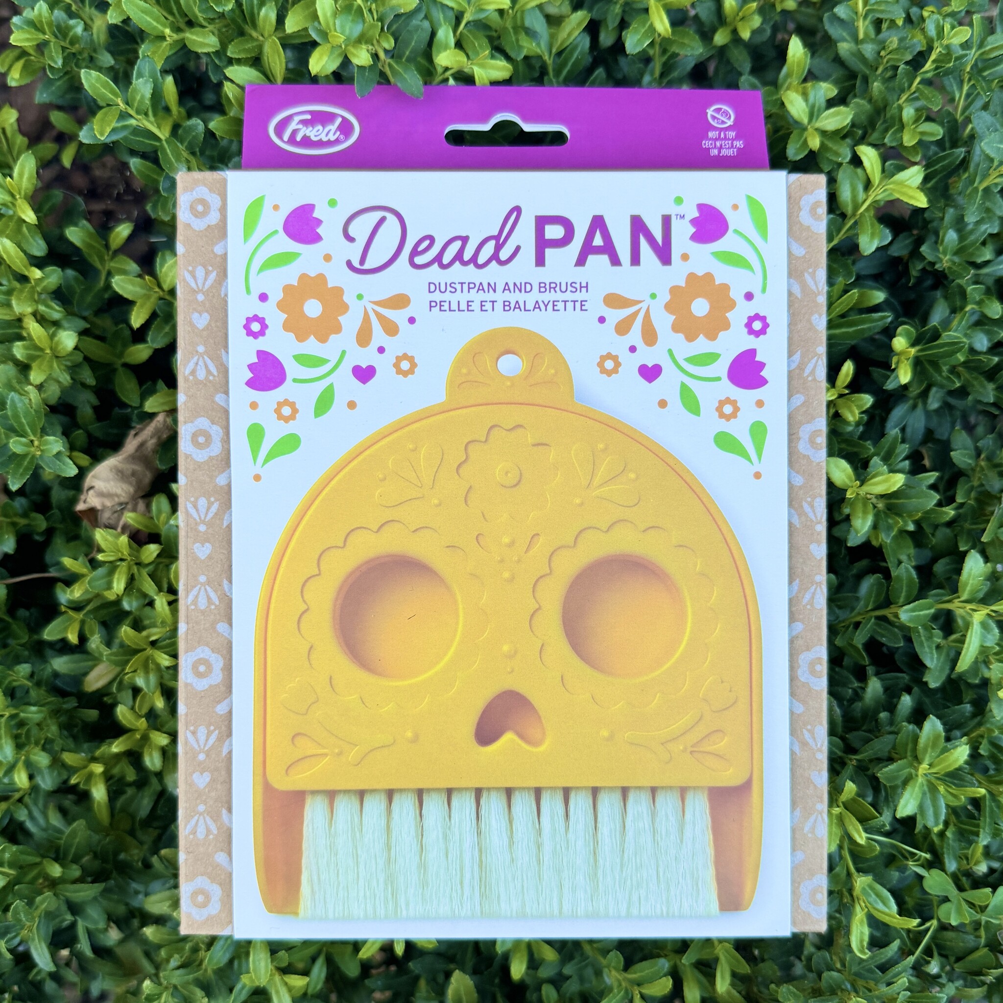 DeadPan and Brush - Cheekwood