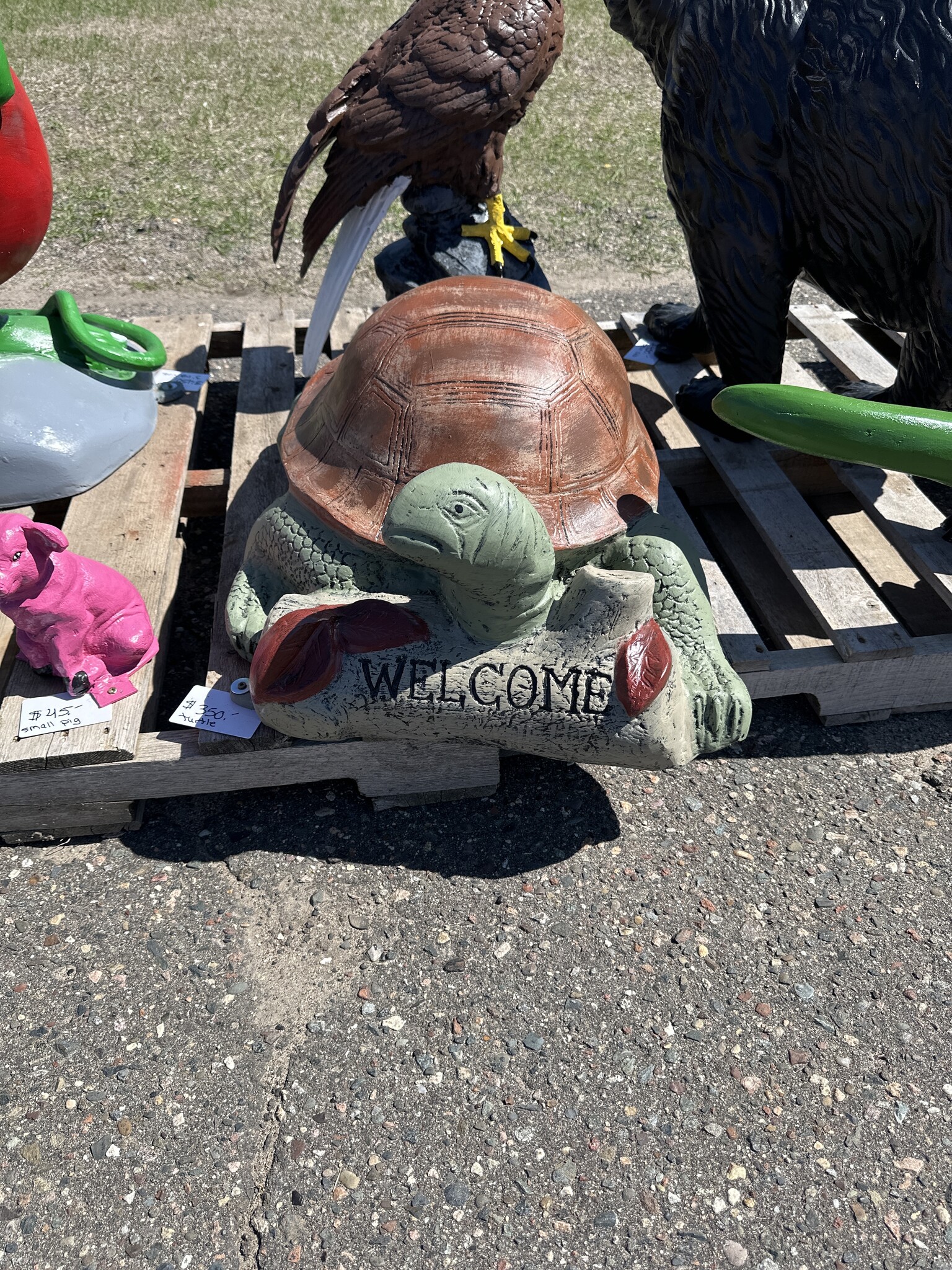 Welcome Turtle - PleasureLand RV Wholesale