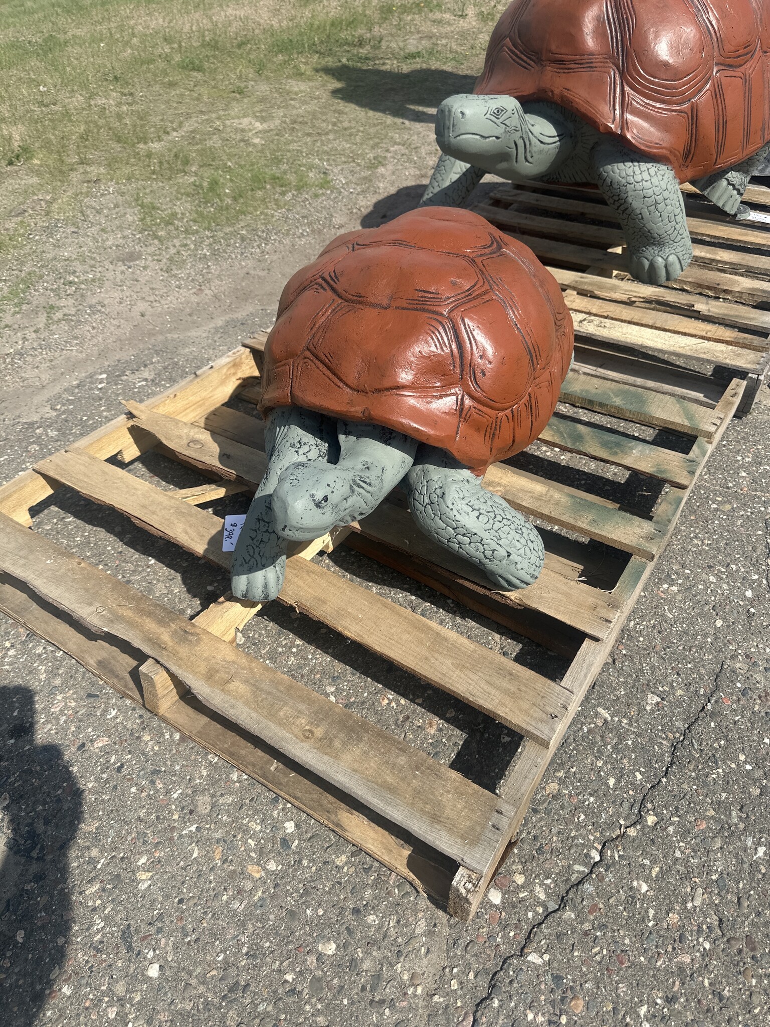 Large Turtle - PleasureLand RV Wholesale