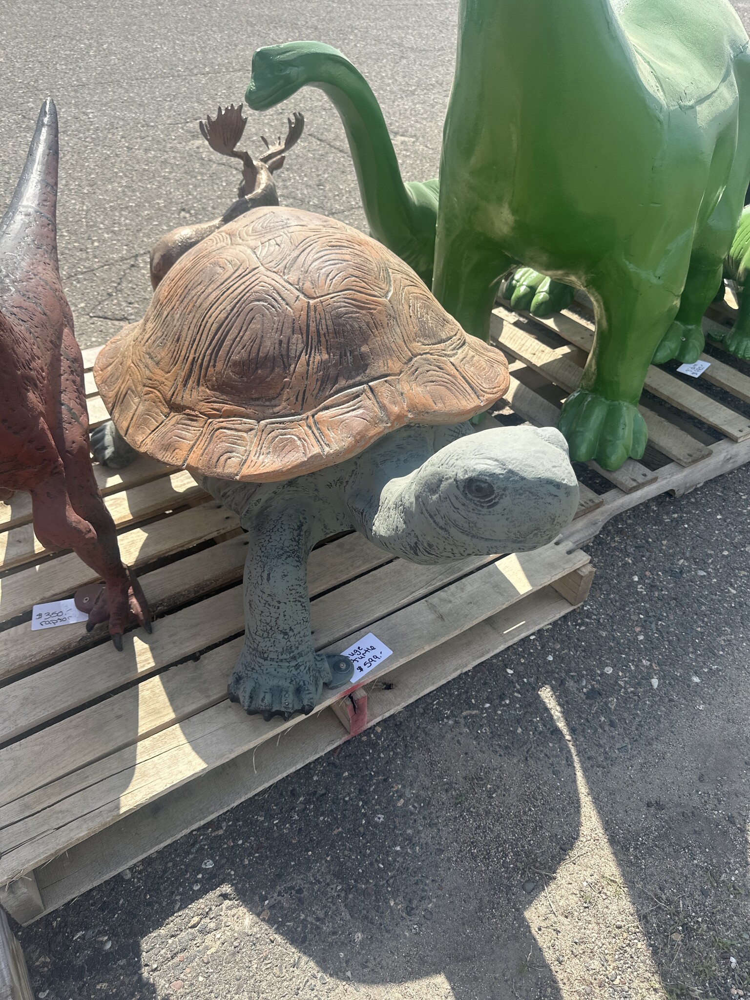 Huge Turtle - PleasureLand RV Wholesale
