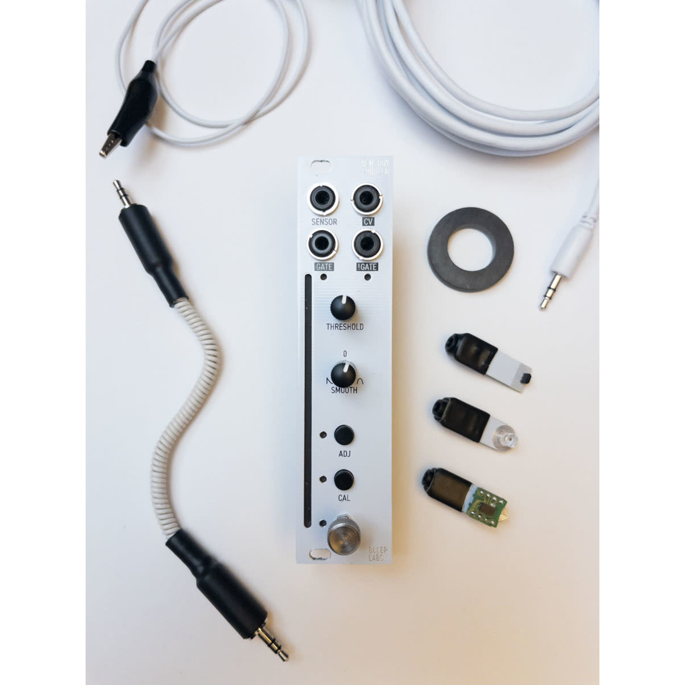 Bleep Labs Sensory Coupler - Control Voltage