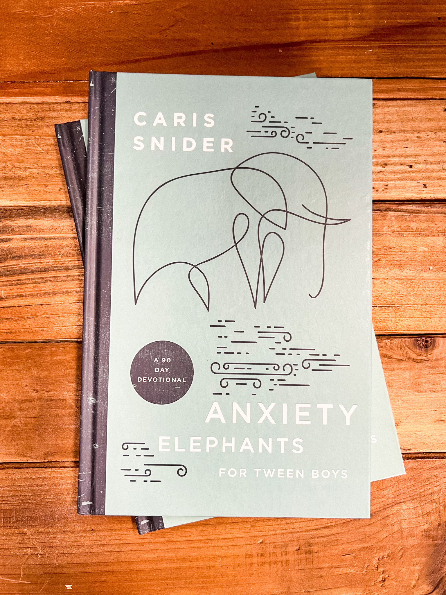 Devotional Anxiety Elephants For Tween Boys - Monograms Plus Cullman