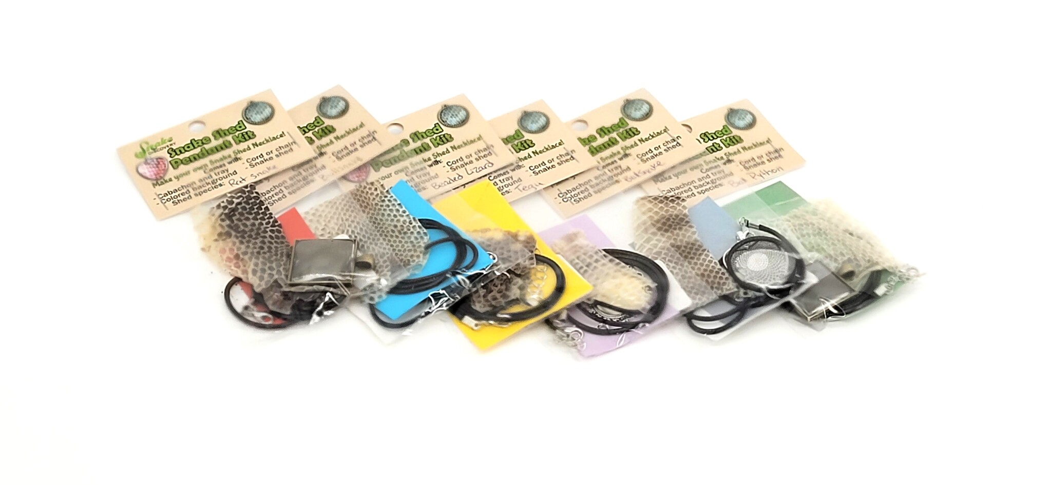 Snake Shed Pendant Kit - Snake Discovery