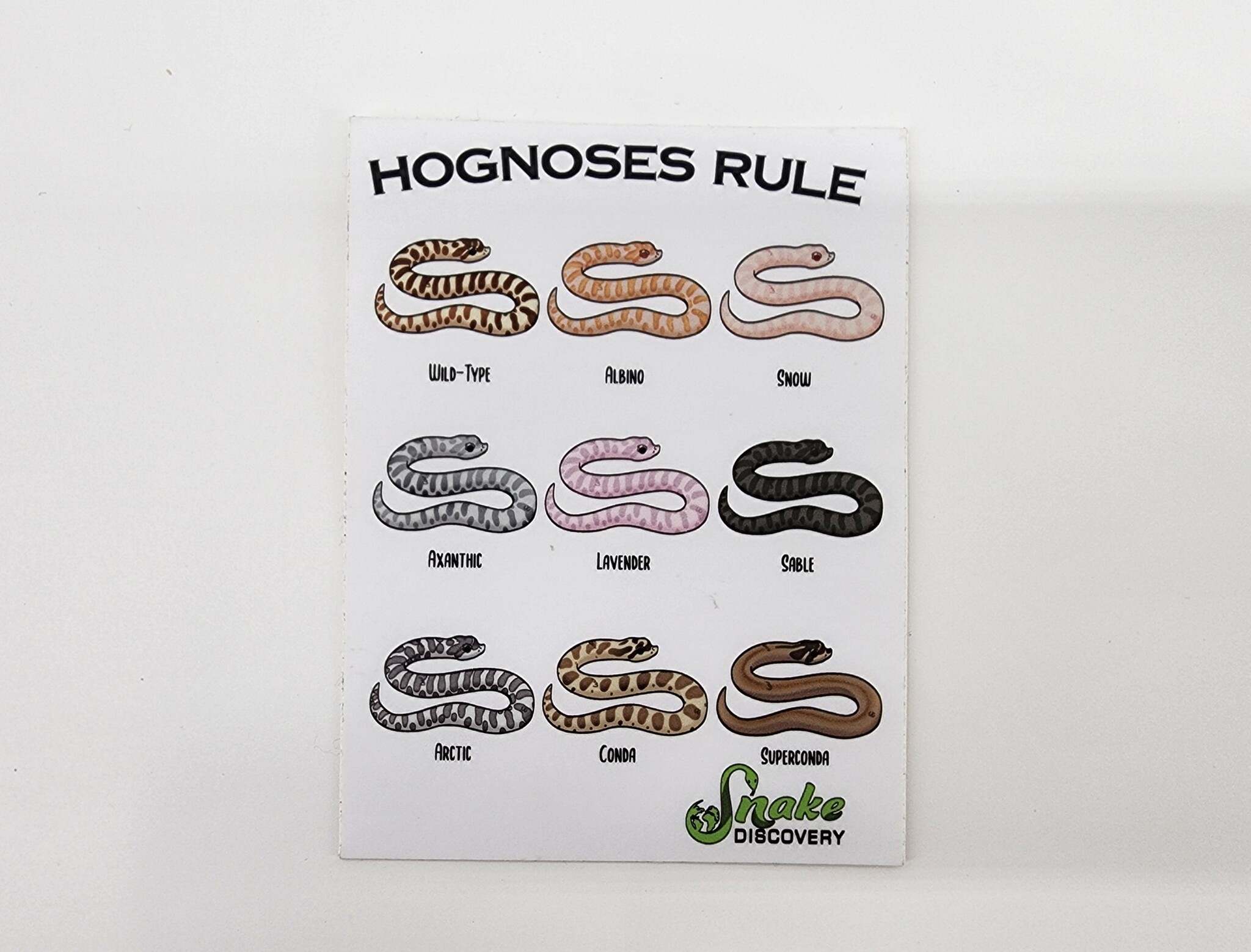 SD Sticker Hognoses Rule - Snake Discovery