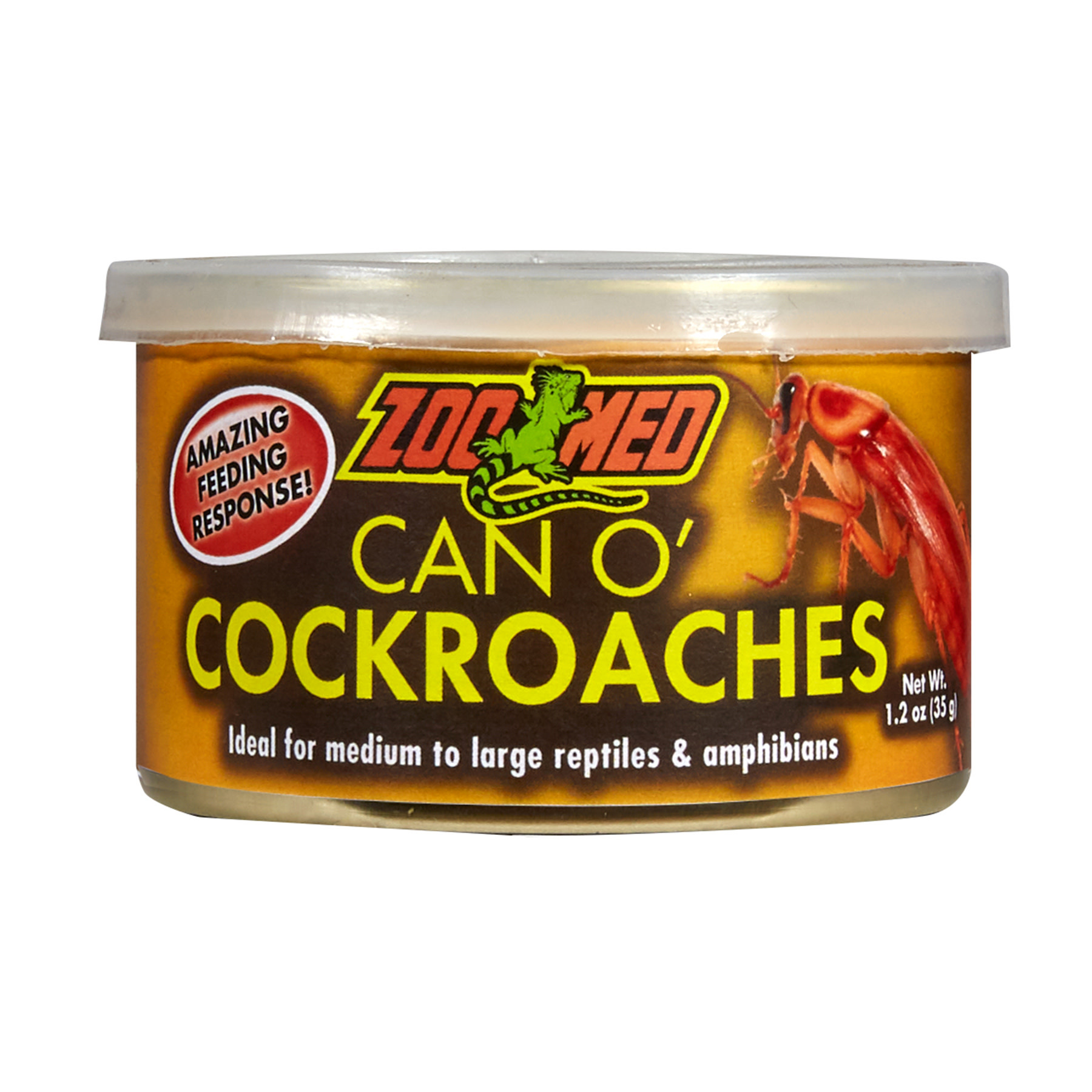 Can O' Cockroaches - Snake Discovery