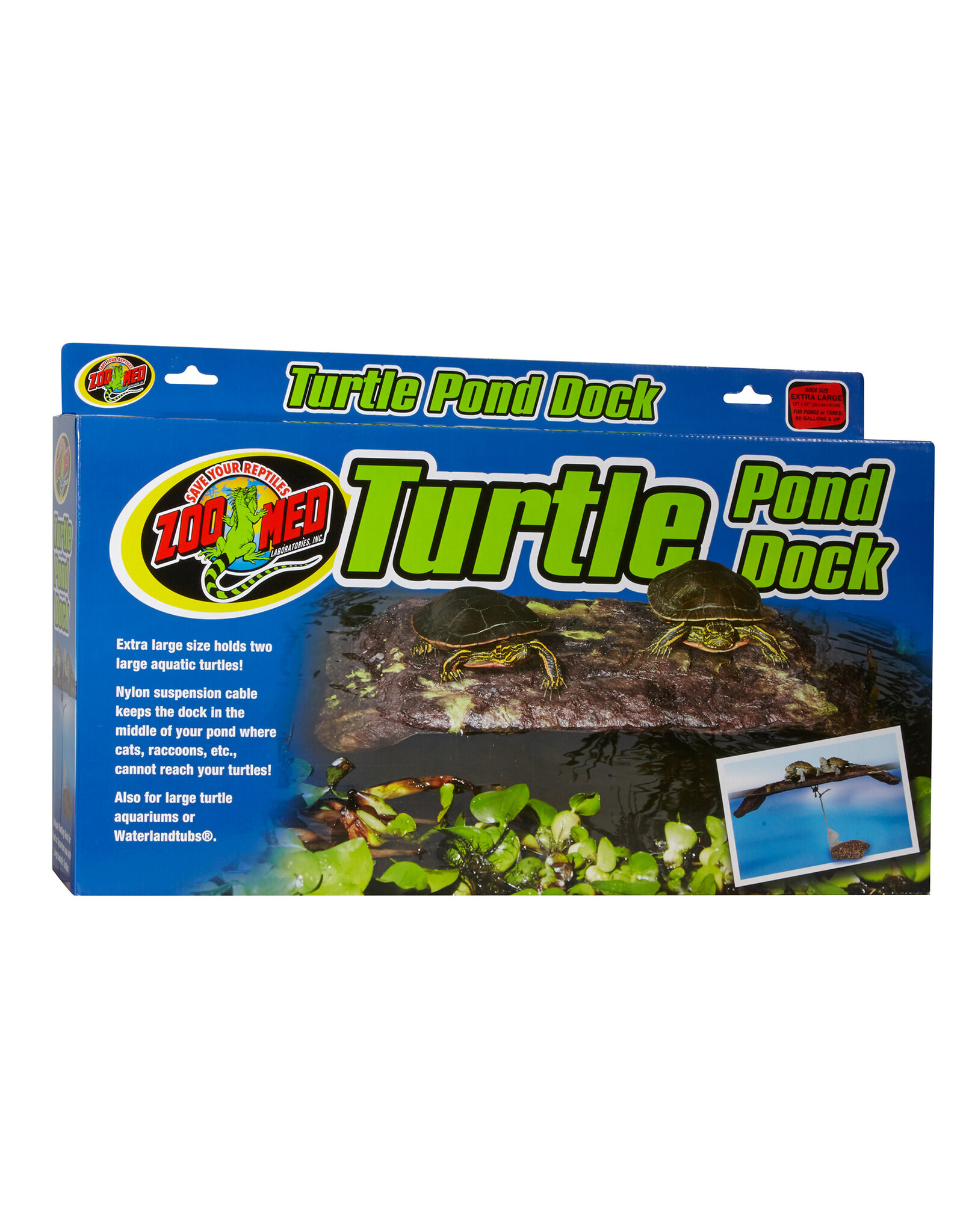 Turtle Pond Dock - Snake Discovery