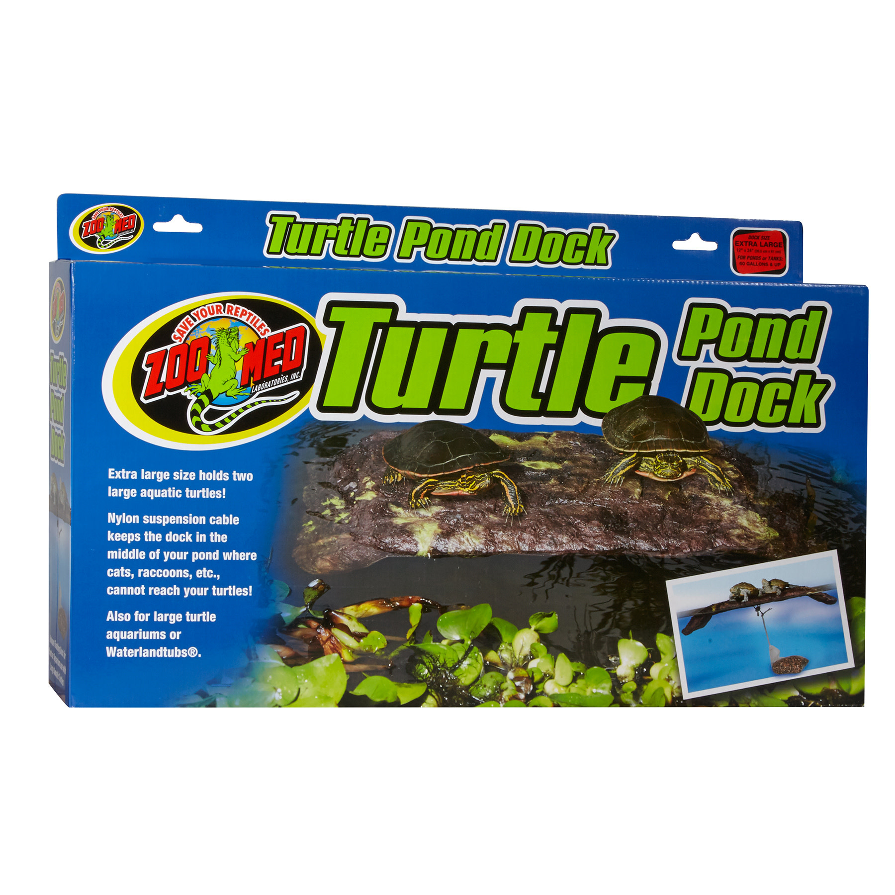 Turtle Pond Dock - Snake Discovery