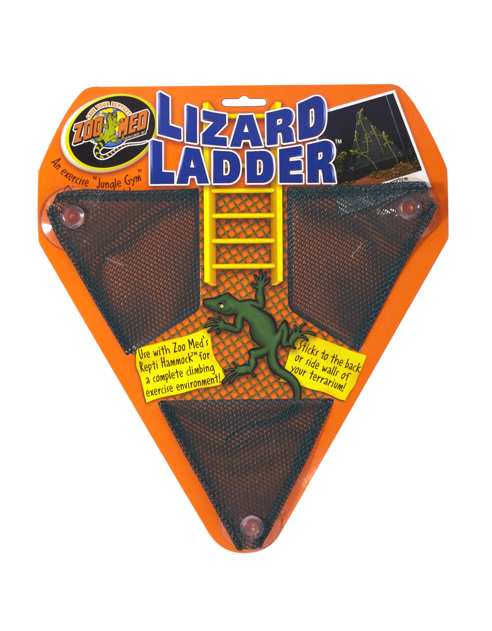 Lizard Ladder - Snake Discovery