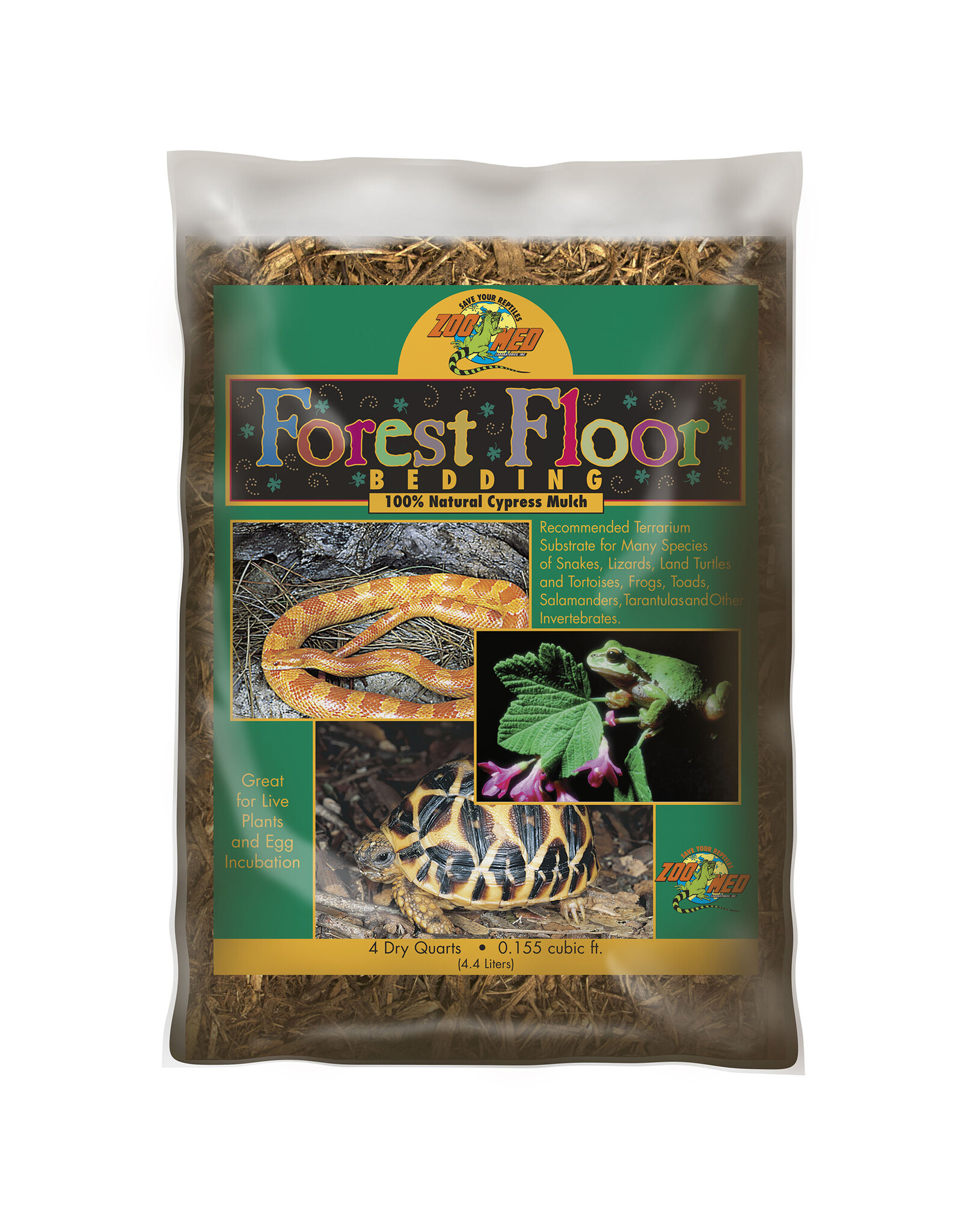 Forest Floor 4qt - Snake Discovery