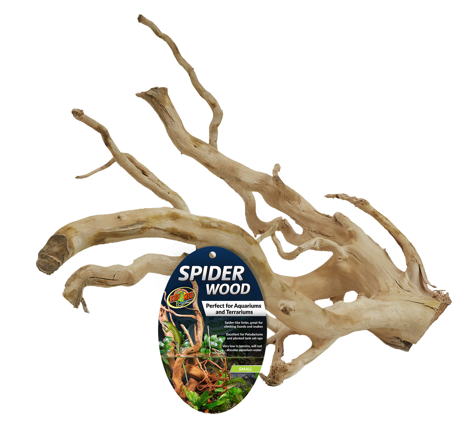 Spider Wood 8-12" - Snake Discovery