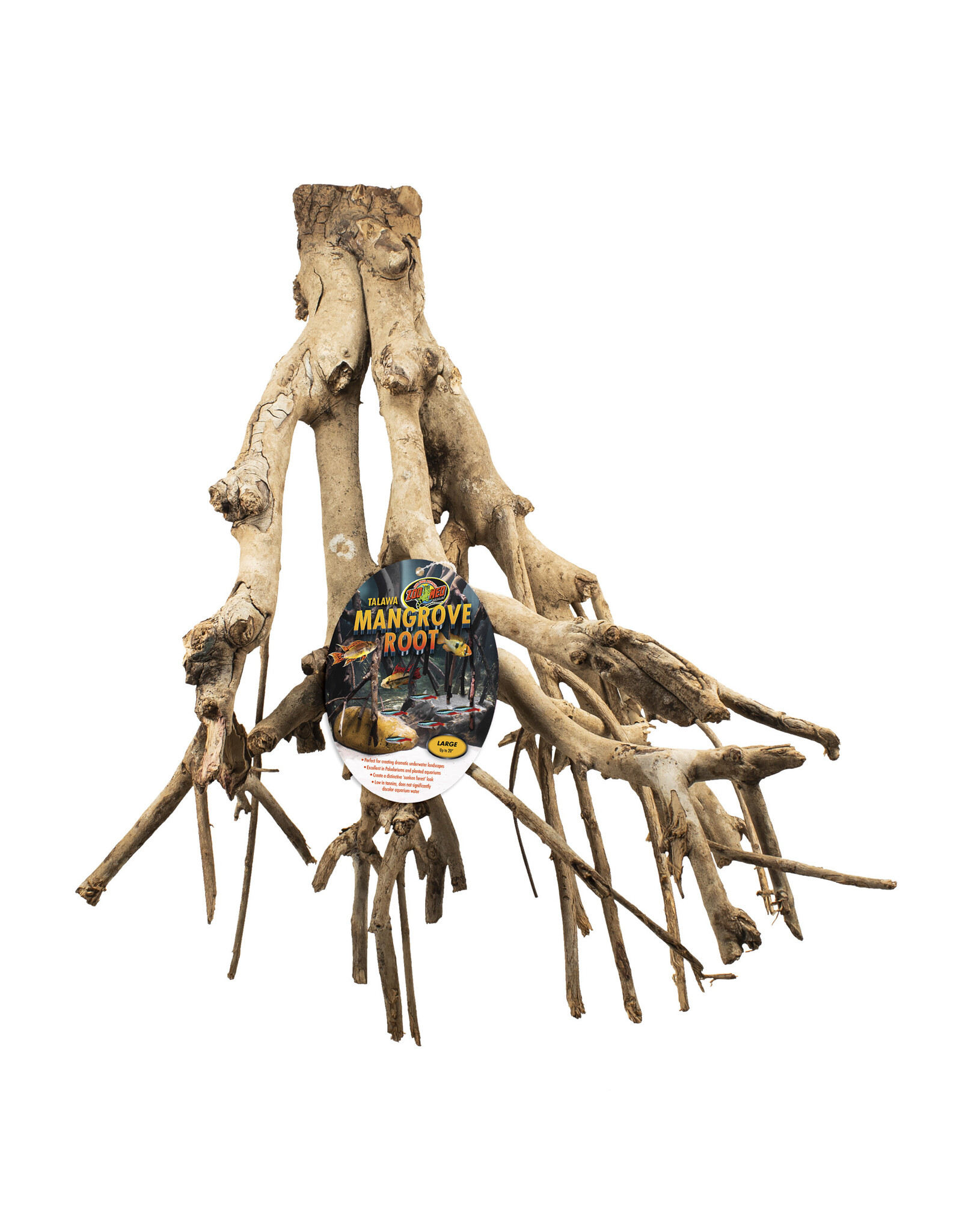 Talawa Mangrove Root (Large) - Snake Discovery