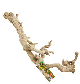 Wood - Snake Discovery