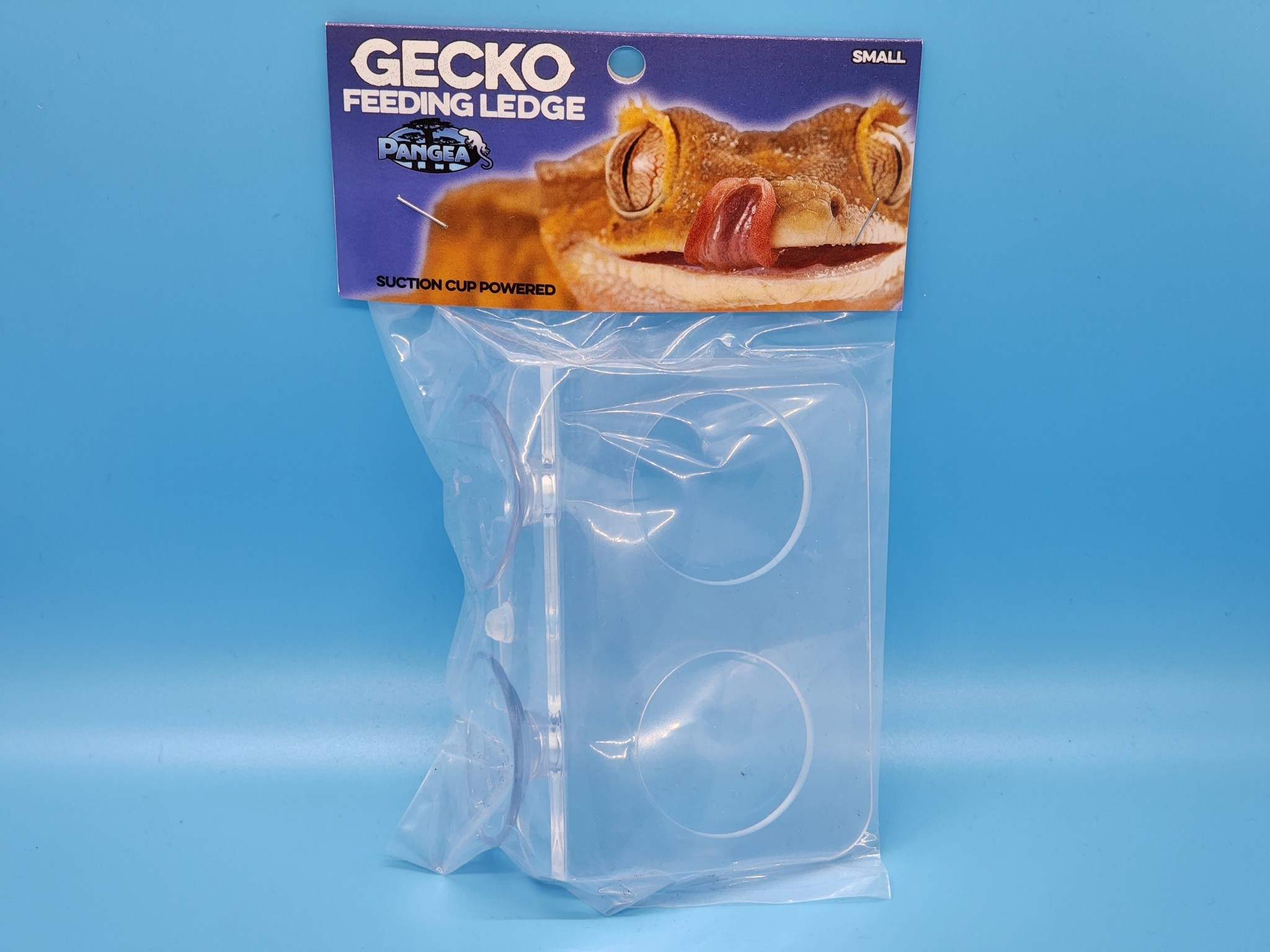 Suction Feeding Ledge Small Pangea ( UPC 4580 ) - Snake Discovery