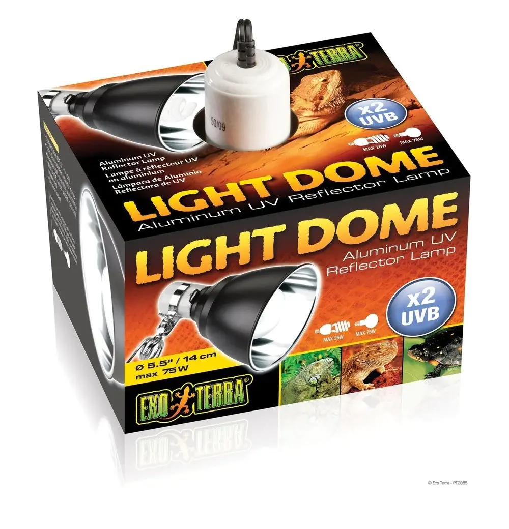 Exo Terra Light Dome 5.5" ( UPC 0552 ) - Snake Discovery