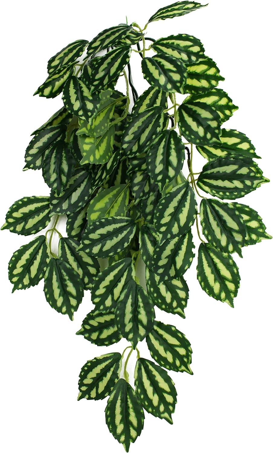 Two-Tone Leaf Climbing Plant sm Komodo ( UPC 3024 ) - Snake Discovery