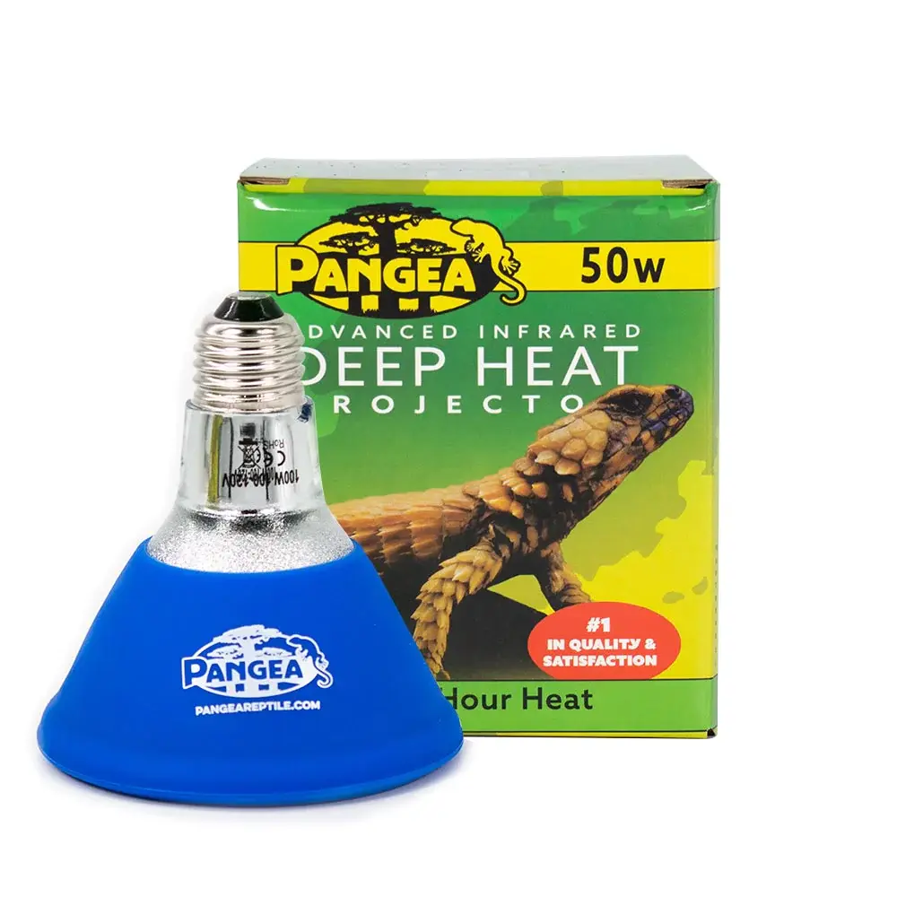 Pangea Deep Heat Projector 50W ( UPC 0259 ) - Snake Discovery
