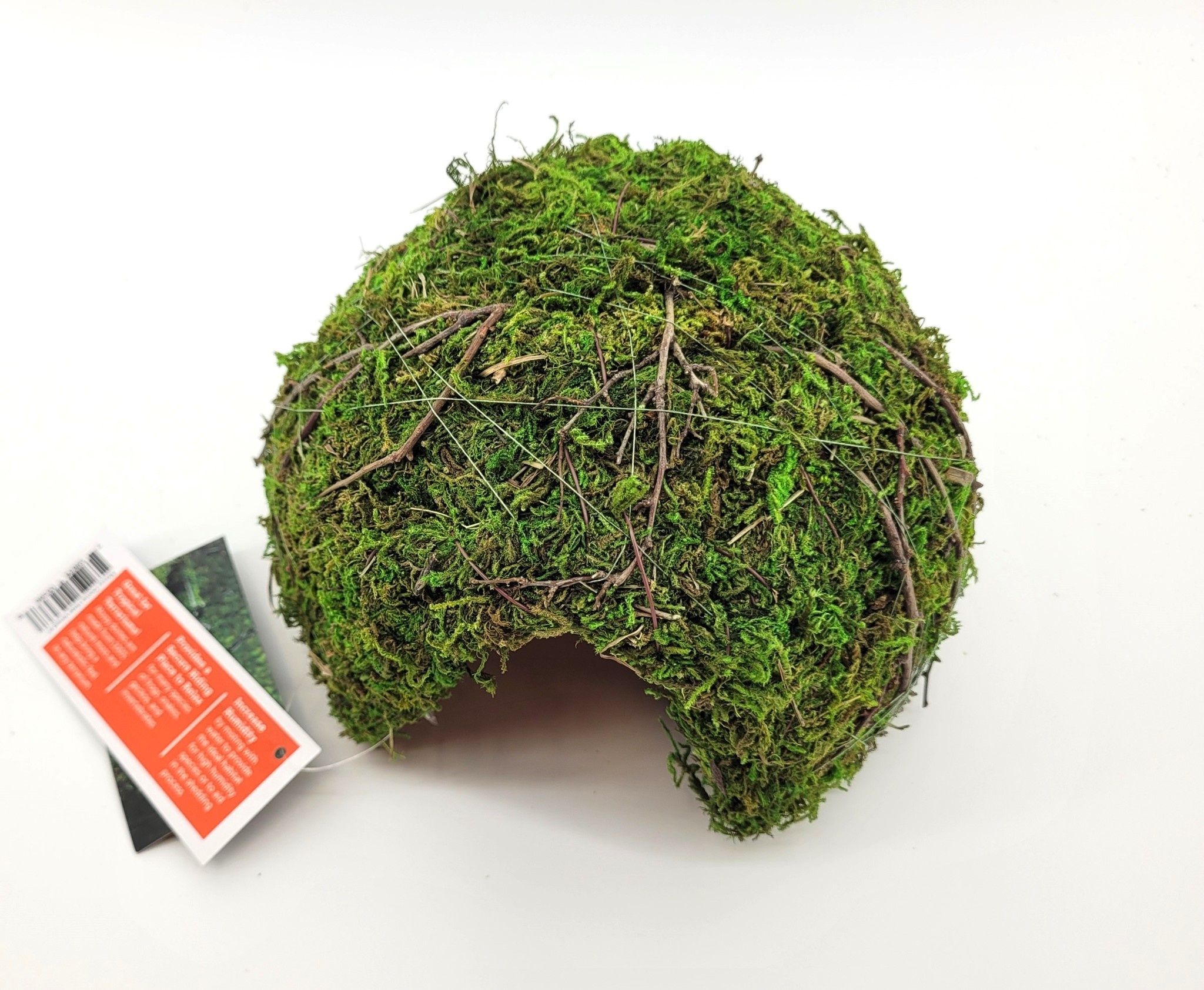 Galapagos Green Mossy Dome 6" - Snake Discovery