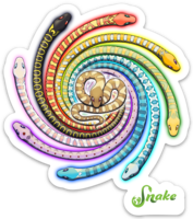 SD Magnet - Snake Discovery