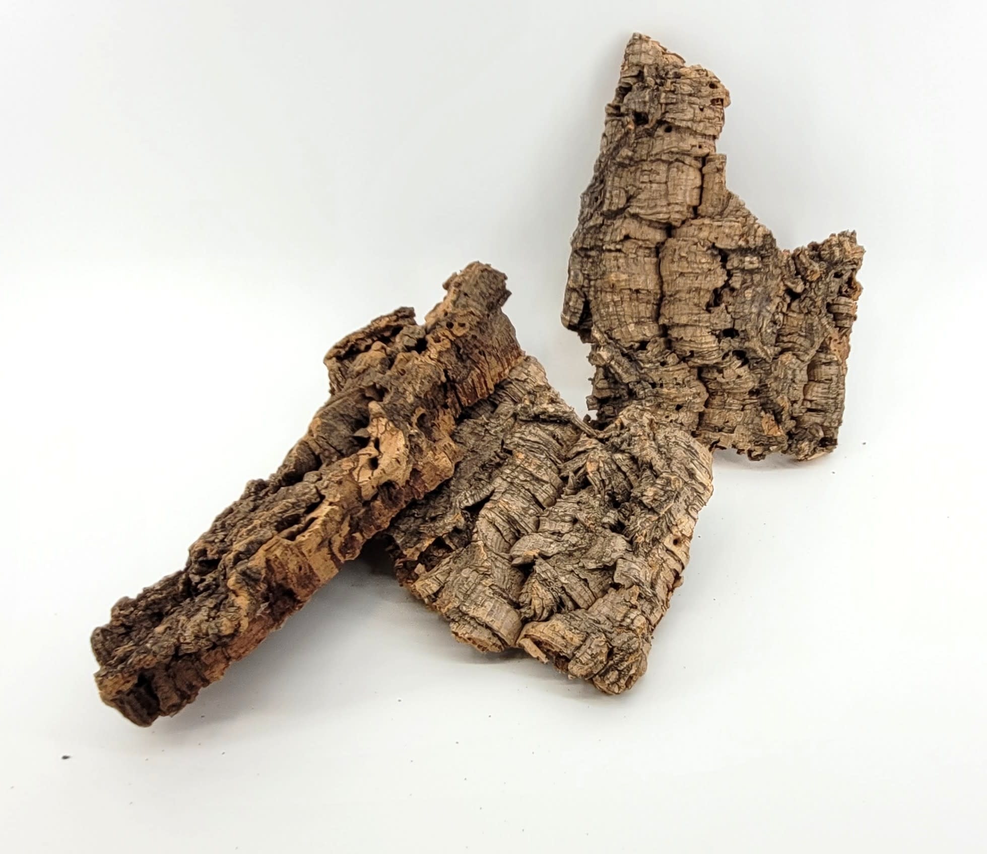 Cork Bark Flats Small (6"-8") - Snake Discovery