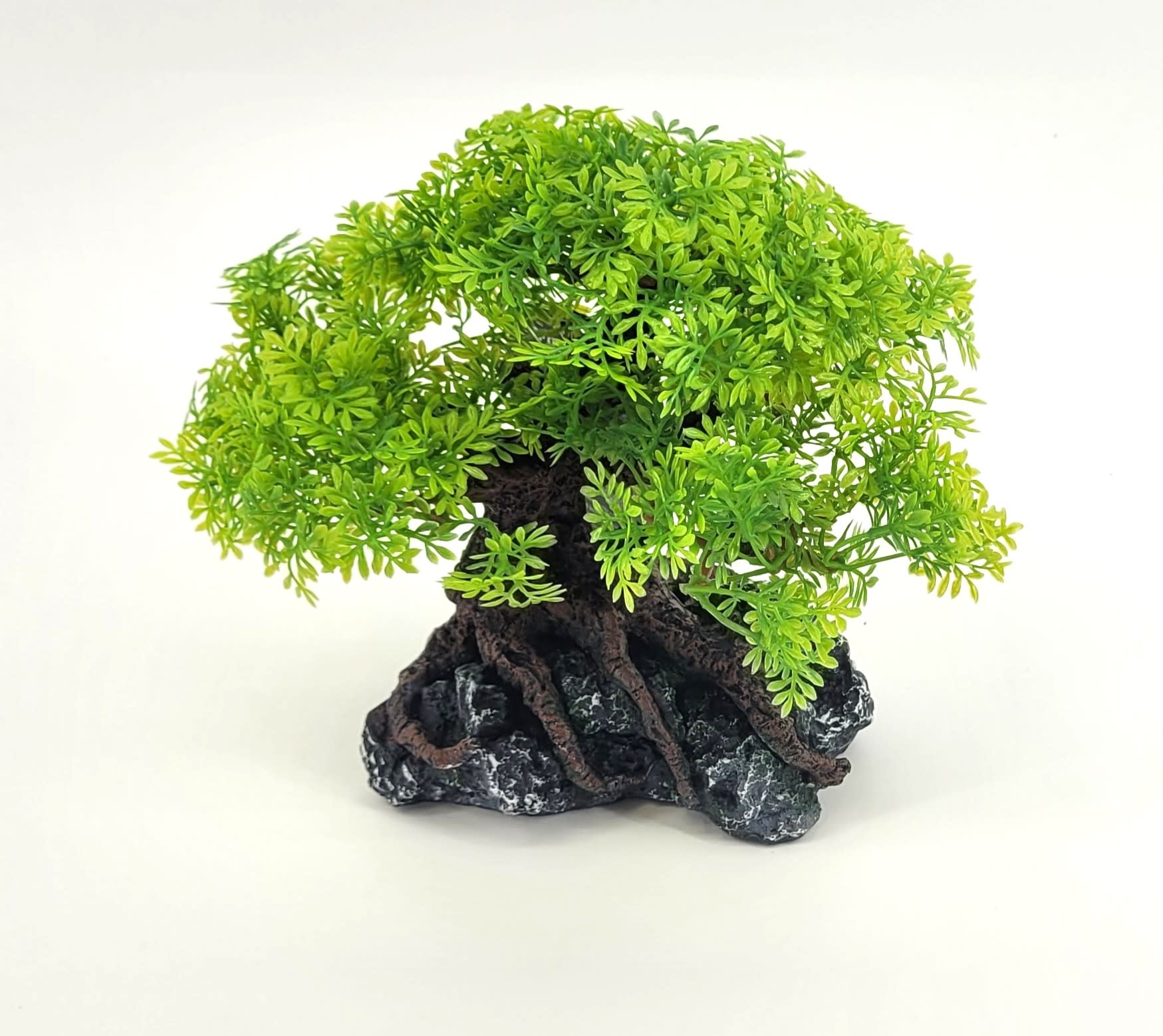 Komodo Bonsai Tree - Snake Discovery