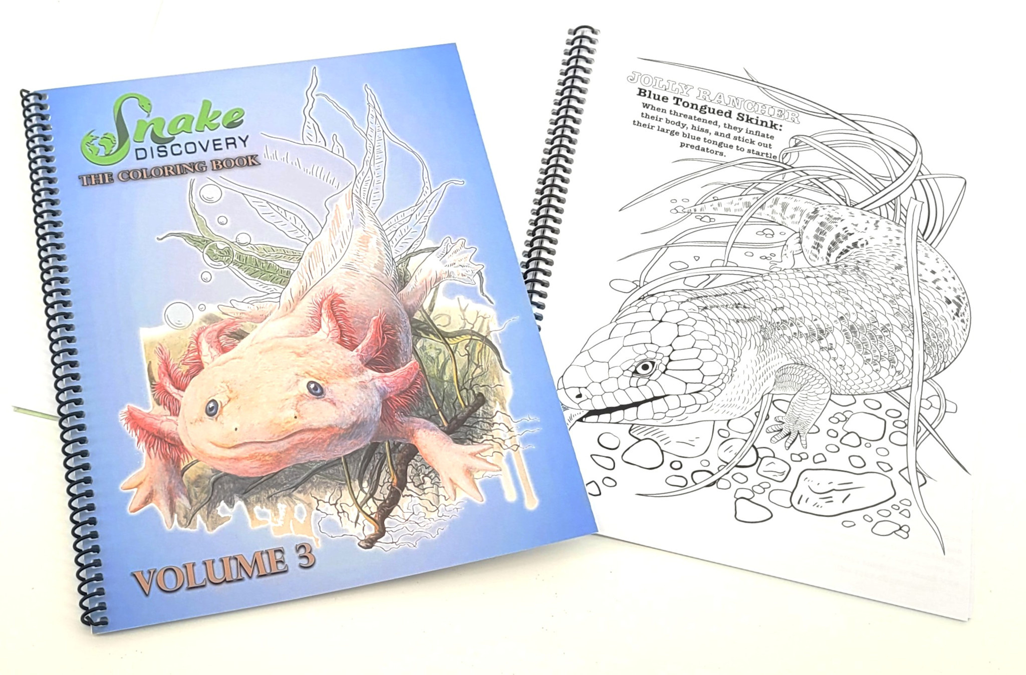 SD Coloring Book 3 - Snake Discovery