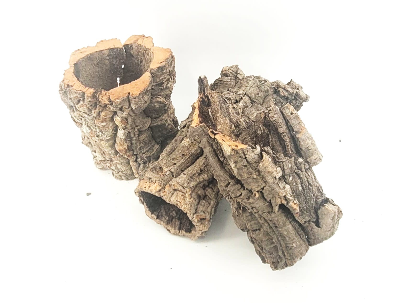Cork Bark Rounds Small (6"-8") - Snake Discovery