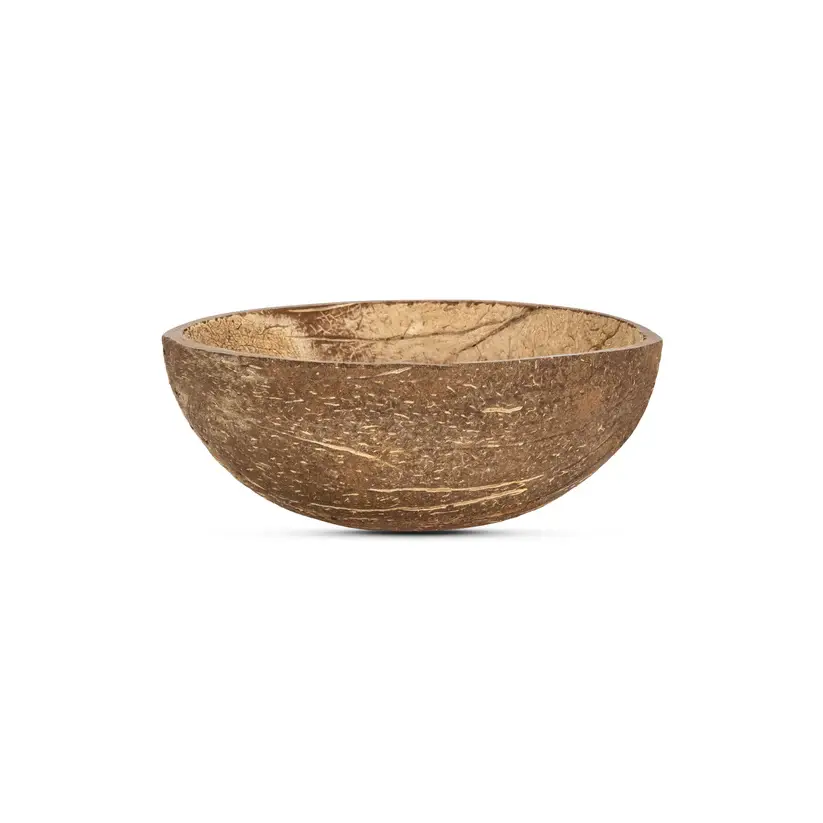 SD Coconut Water Dish Medium - Snake Discovery